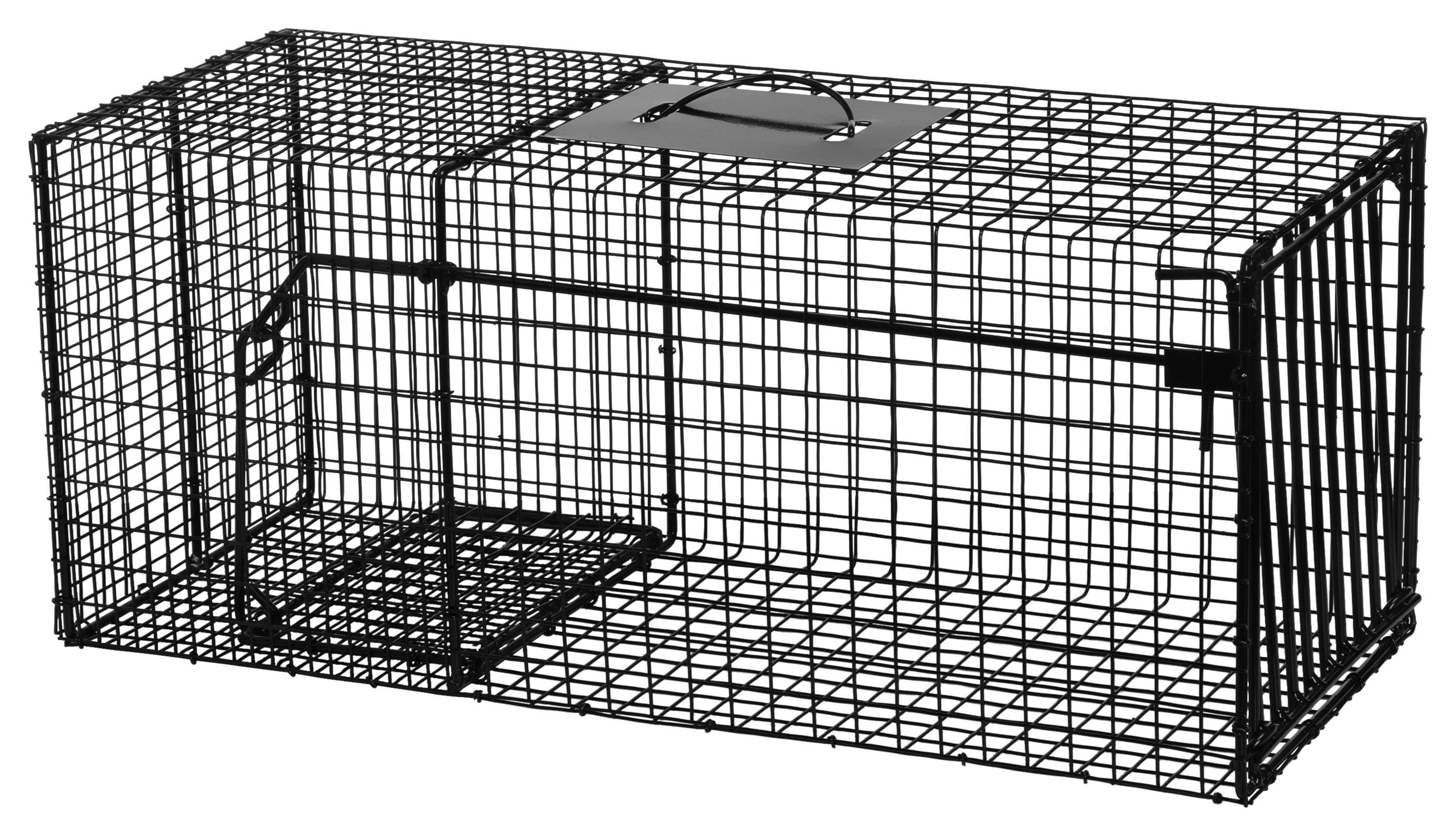 Bridger HD Cage Live Trap - Raccoon | Bass Pro Shops